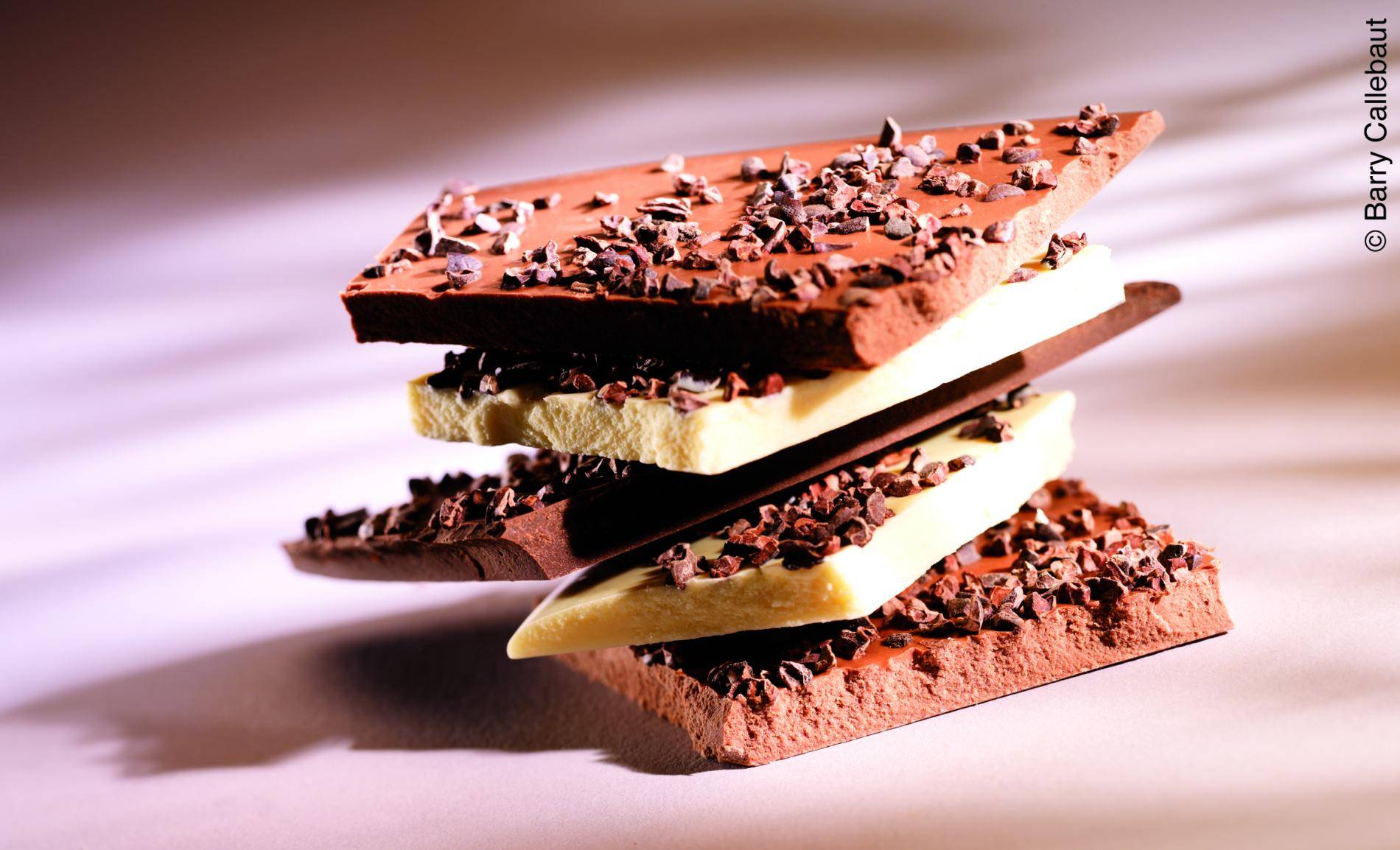 Press Release Q1 Results 2006/07 | Barry Callebaut