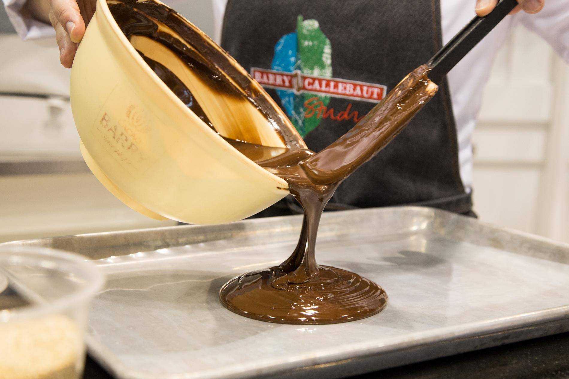 Introducing the Supplier Diversity Program for Barry Callebaut USA