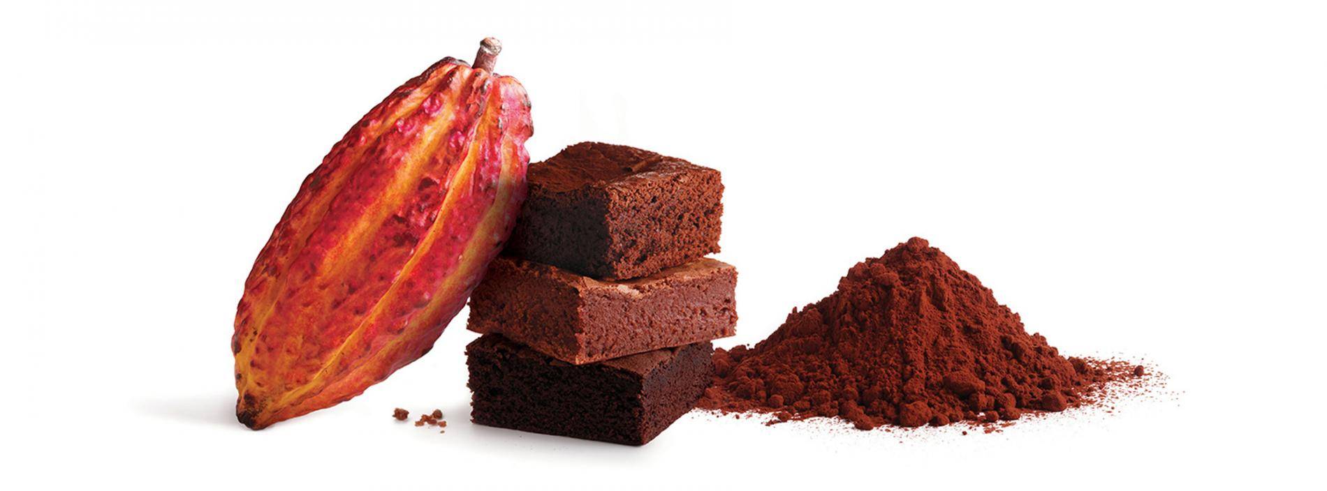 Organic Cocoa Powders from Bensdorp | Barry Callebaut