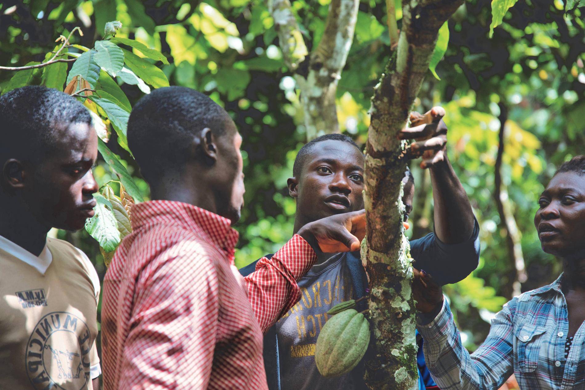 Carma: Making sustainable chocolate the norm