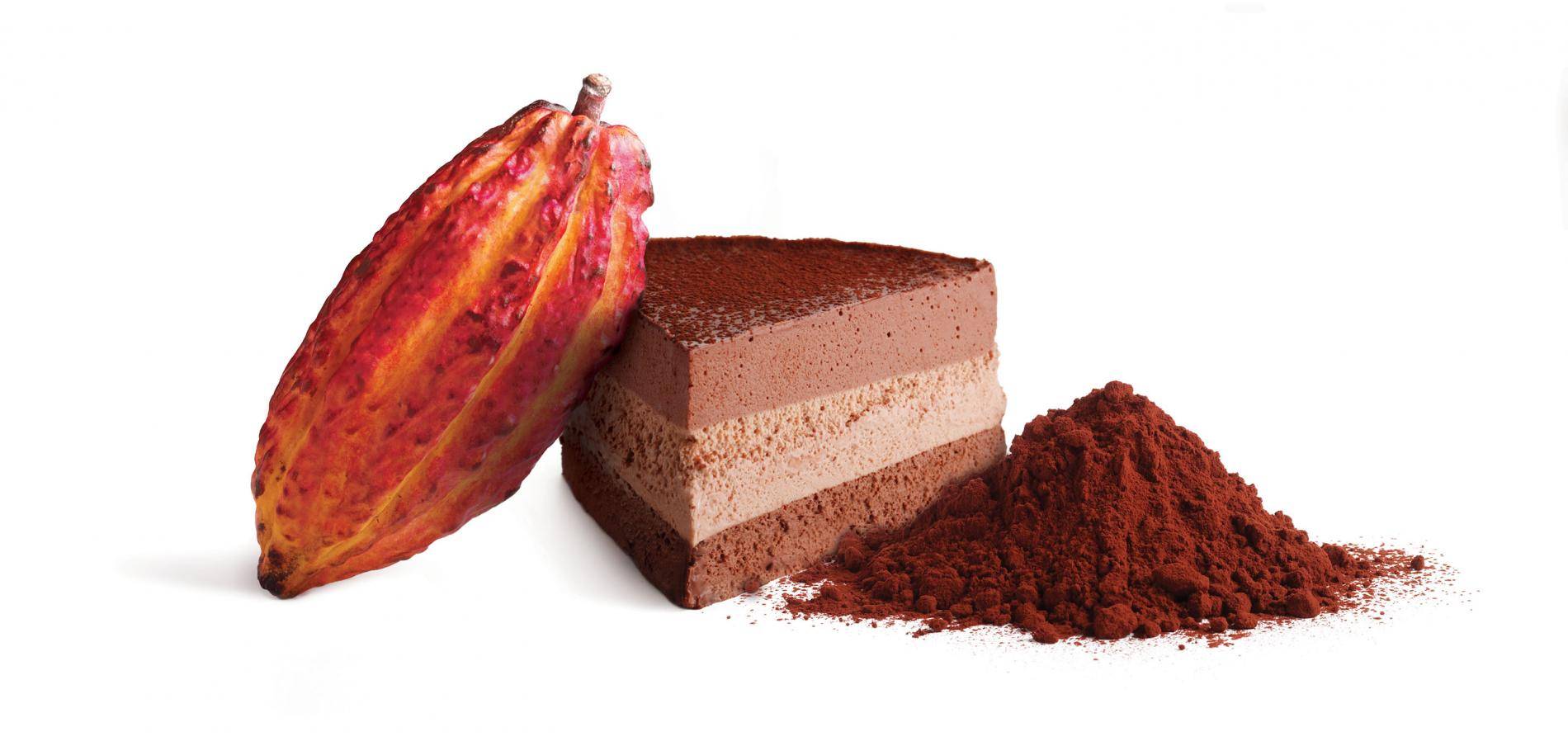 Dessert applications with Bensdorp cocoa powders