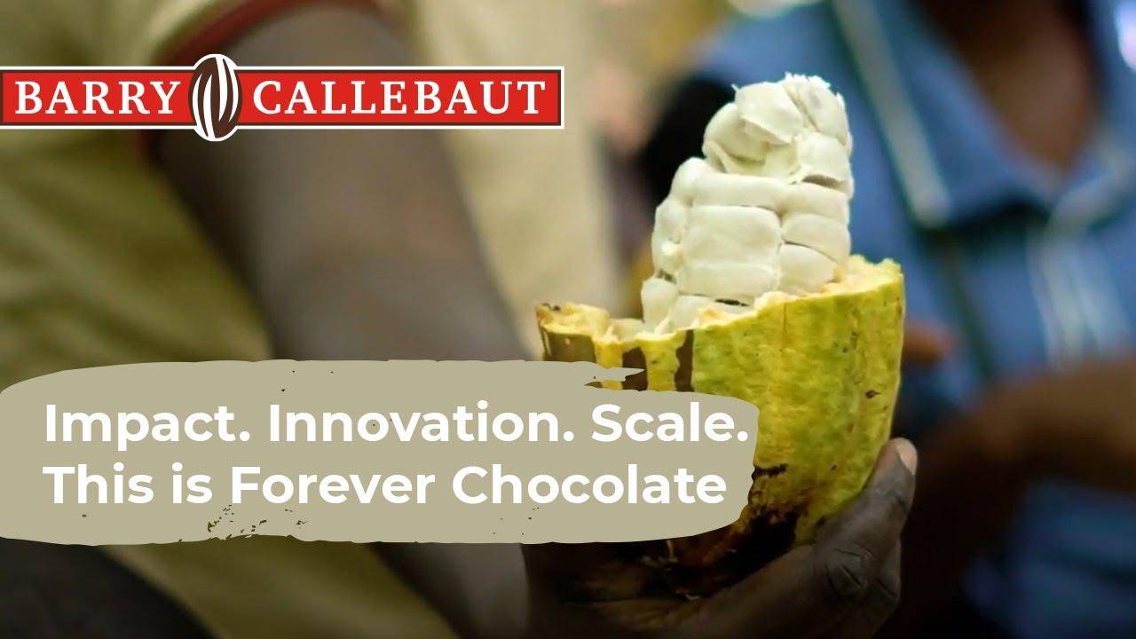 Discovering the Origins Behind Sustainable Ingredients