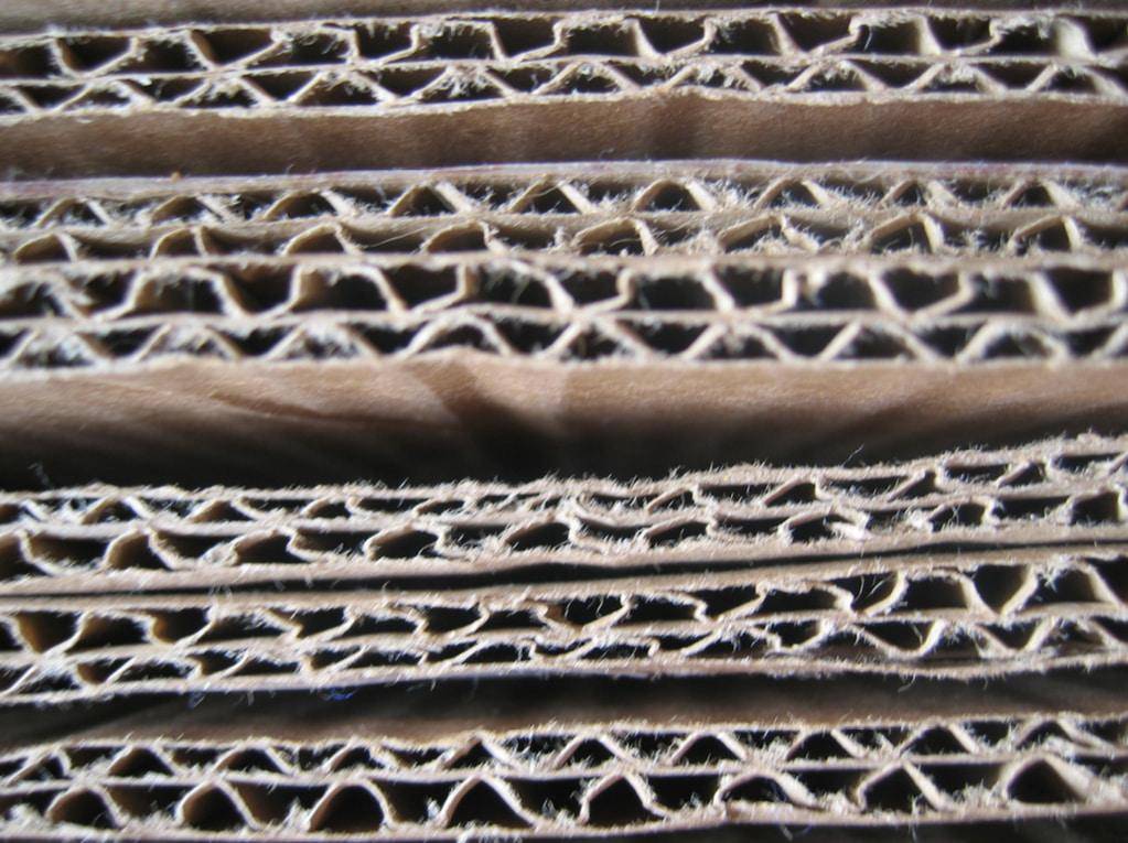 Barry Callebaut moves to sustainable carton in EMEA