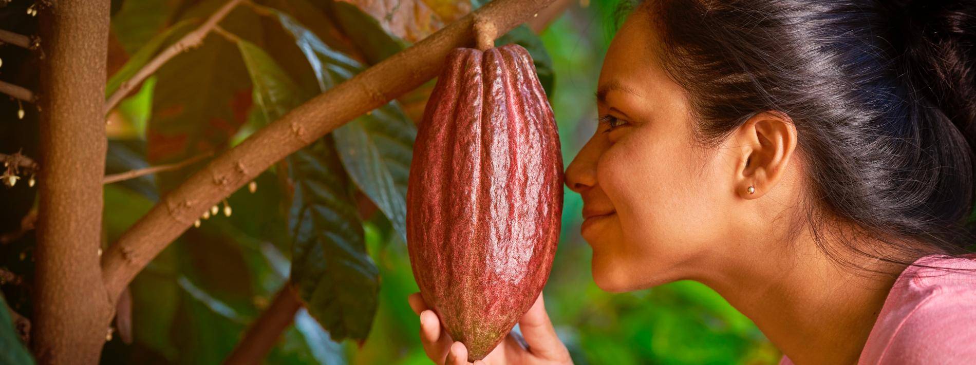 Discover the importance of upcycled fruit for your brand