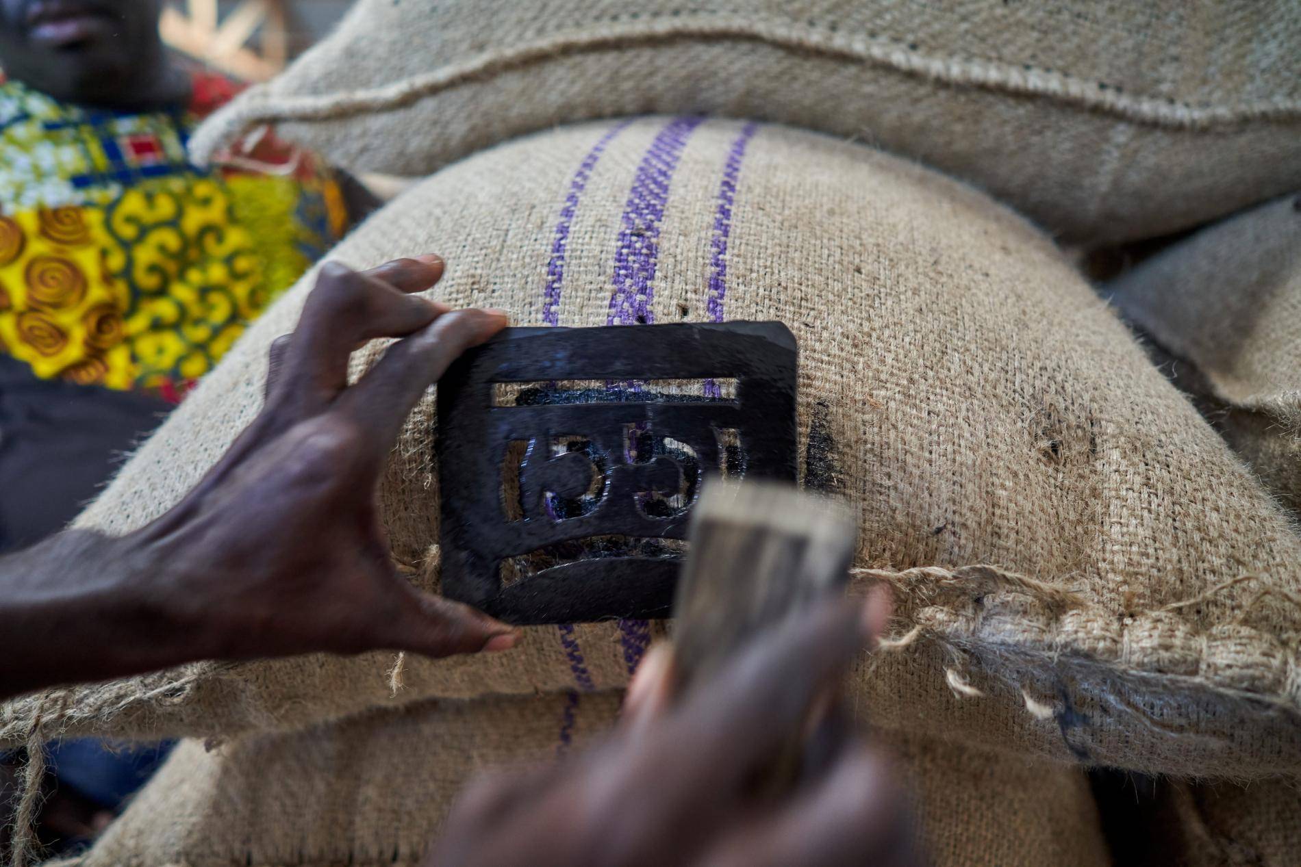 A big picture approach to cocoa traceability | Barry Callebaut