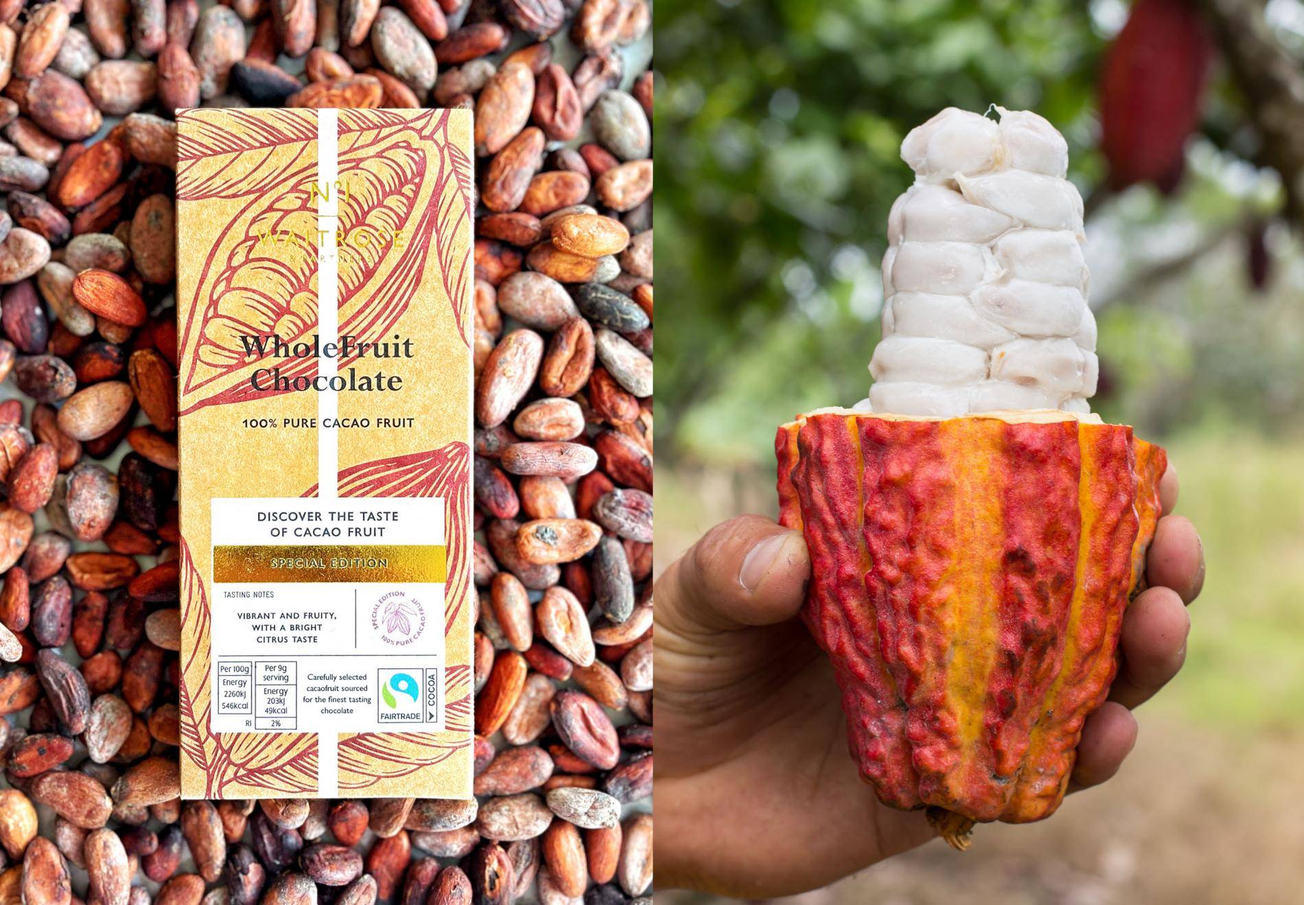 WholeFruit Chocolate Bar by Waitrose Supermarkt