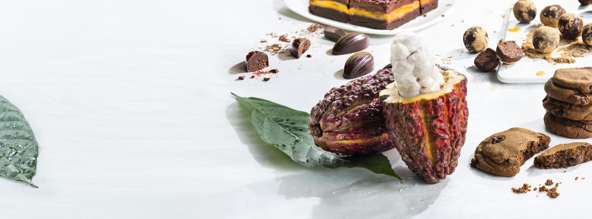Beyond Chocolate: Explore the Potential of Cacaofruit | Barry Callebaut