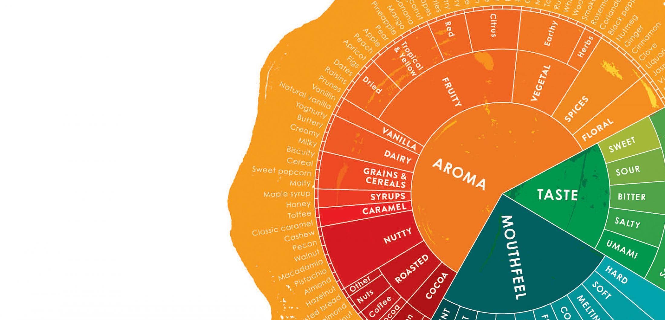 How to taste chocolate? | Barry Callebaut