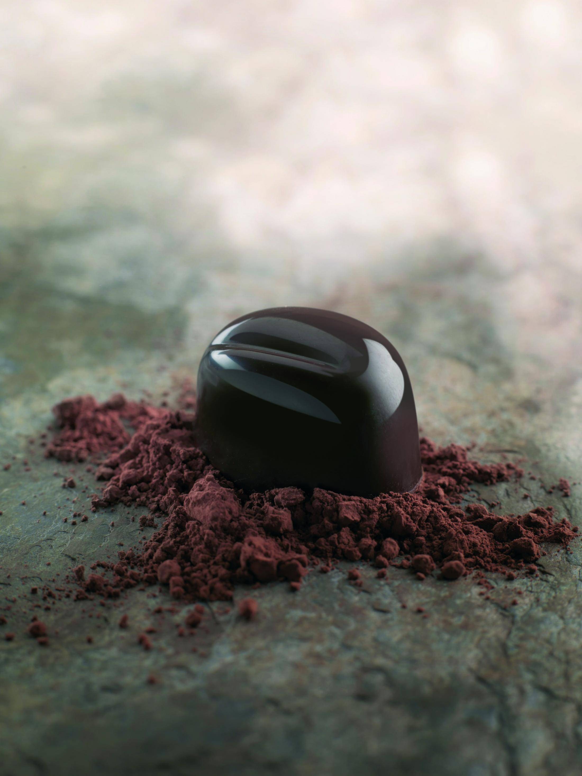 Natural Dark Cocoa Powder | Barry Callebaut