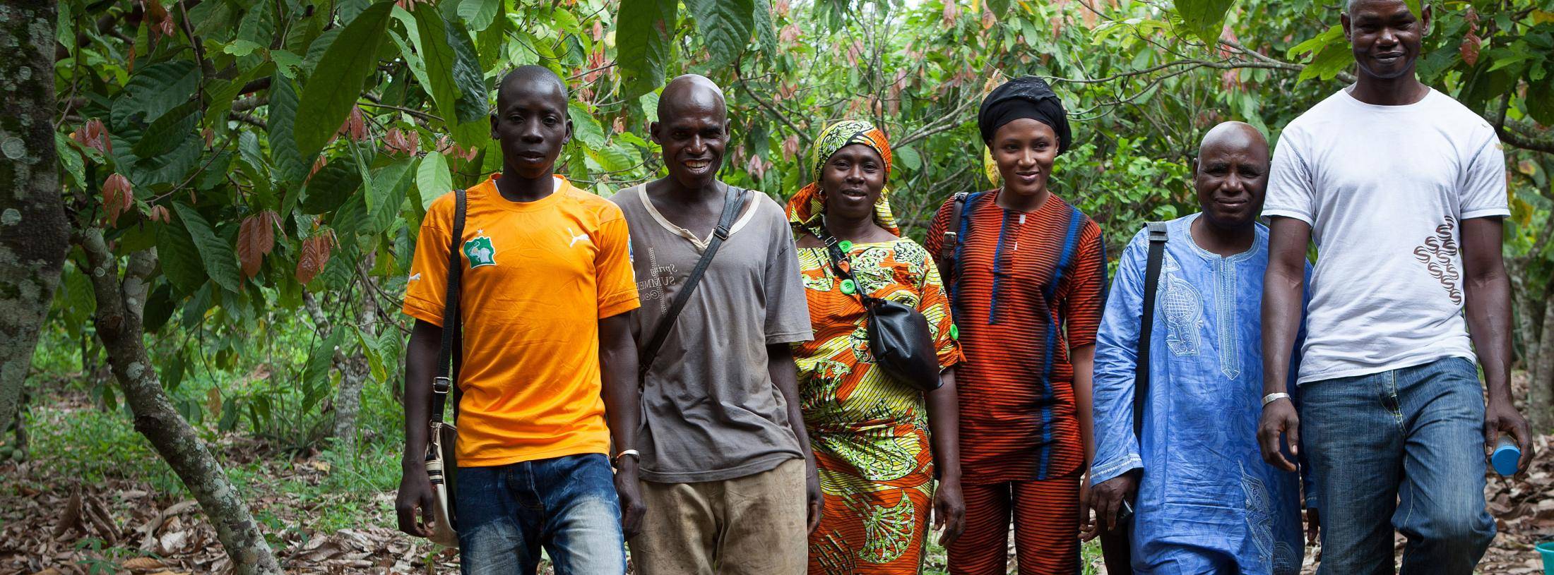 Cocoa Horizons - Driving change and scaling impact in cocoa farming ...
