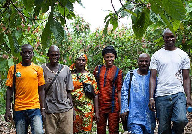 Cocoa Horizons Inside: Segregated & Traceable cocoa
