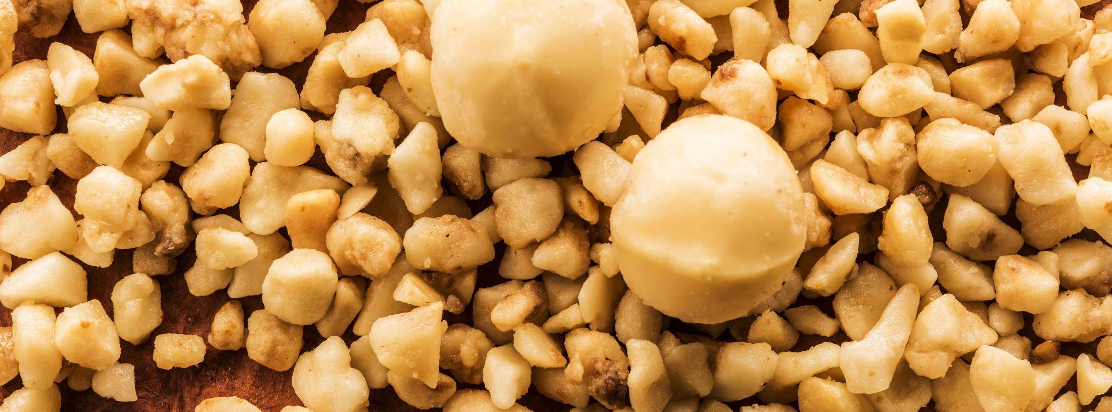 Macadamia products for food manufacturers | La Morella Nuts