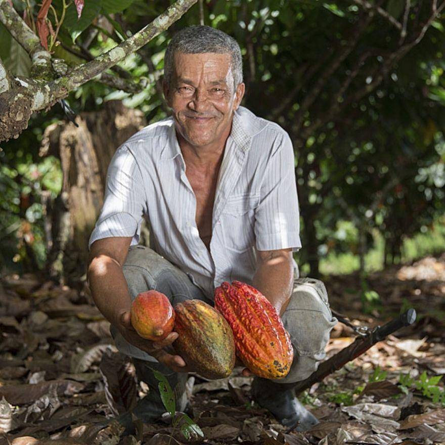 Homepage | Barry Callebaut