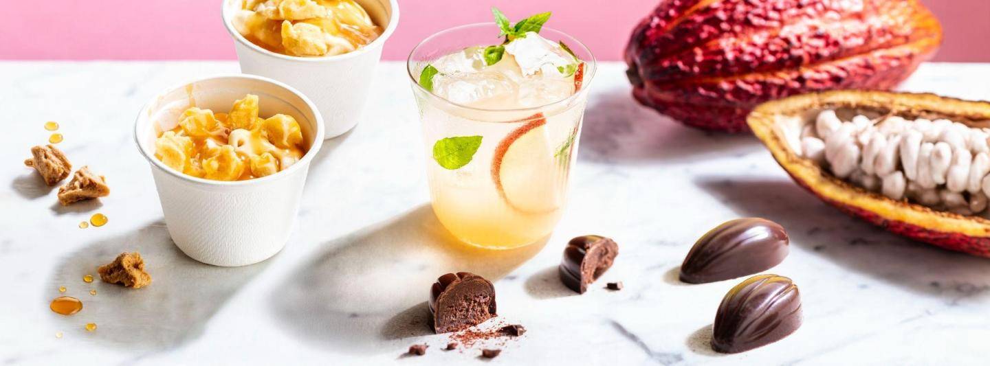 Barry Callebaut upcycled cacaofruit sustainability solutions portfolio