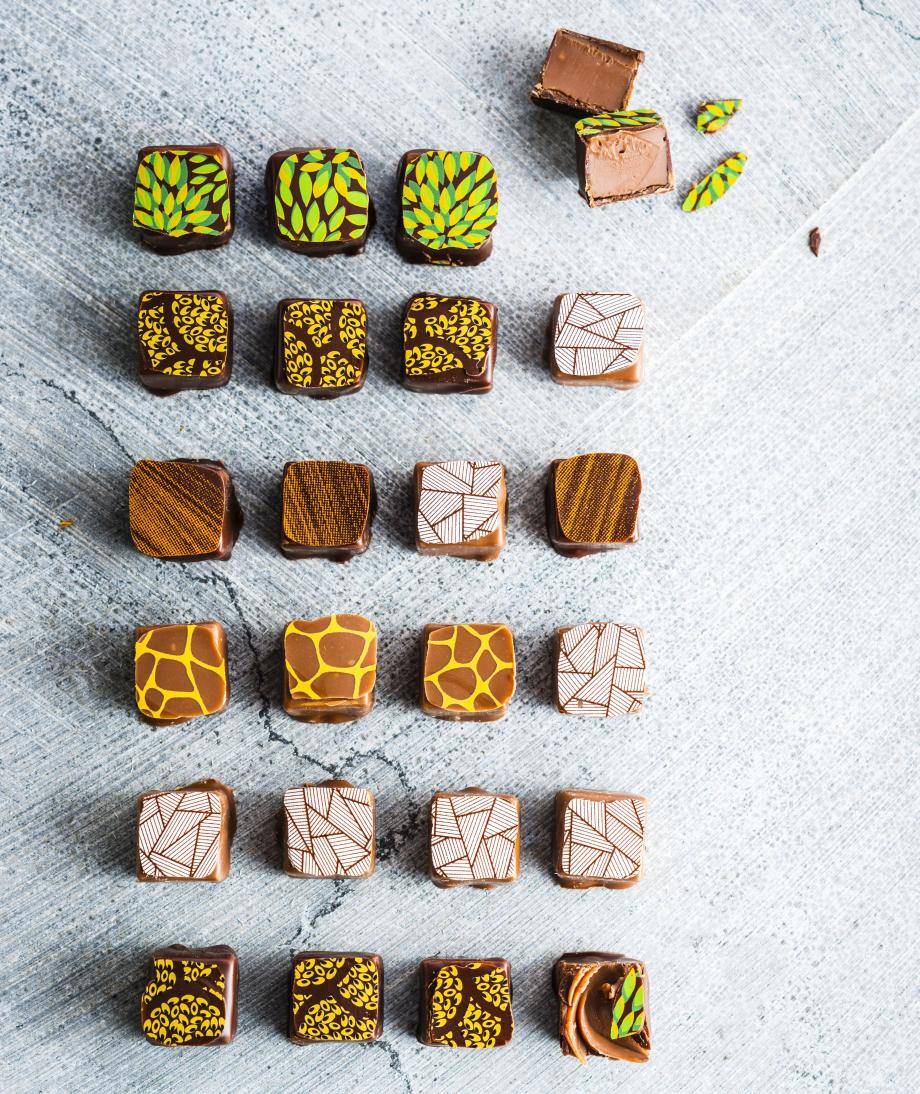 Single Origin chocolate and cocoa | Barry Callebaut